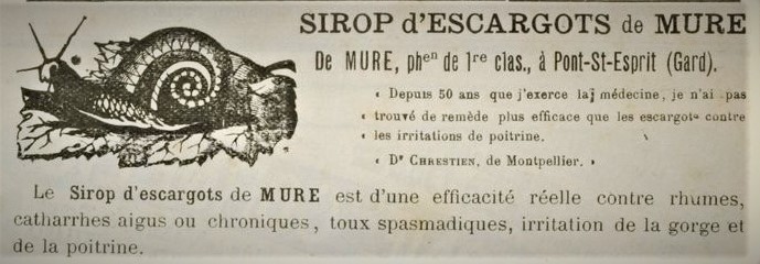A short but slimy history of eating snails in France - Historical France