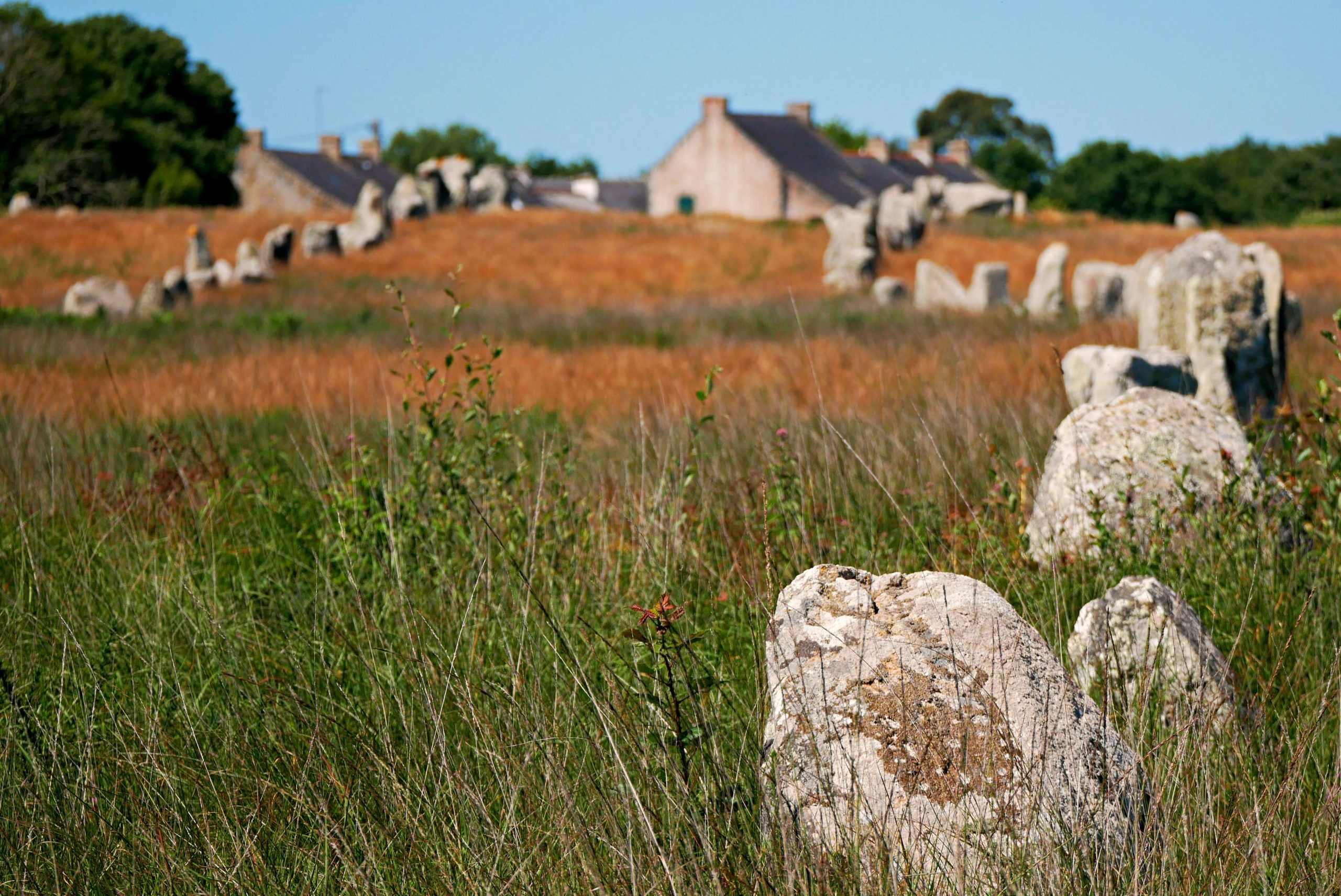 The mysterious stones of Carnac - Historical France