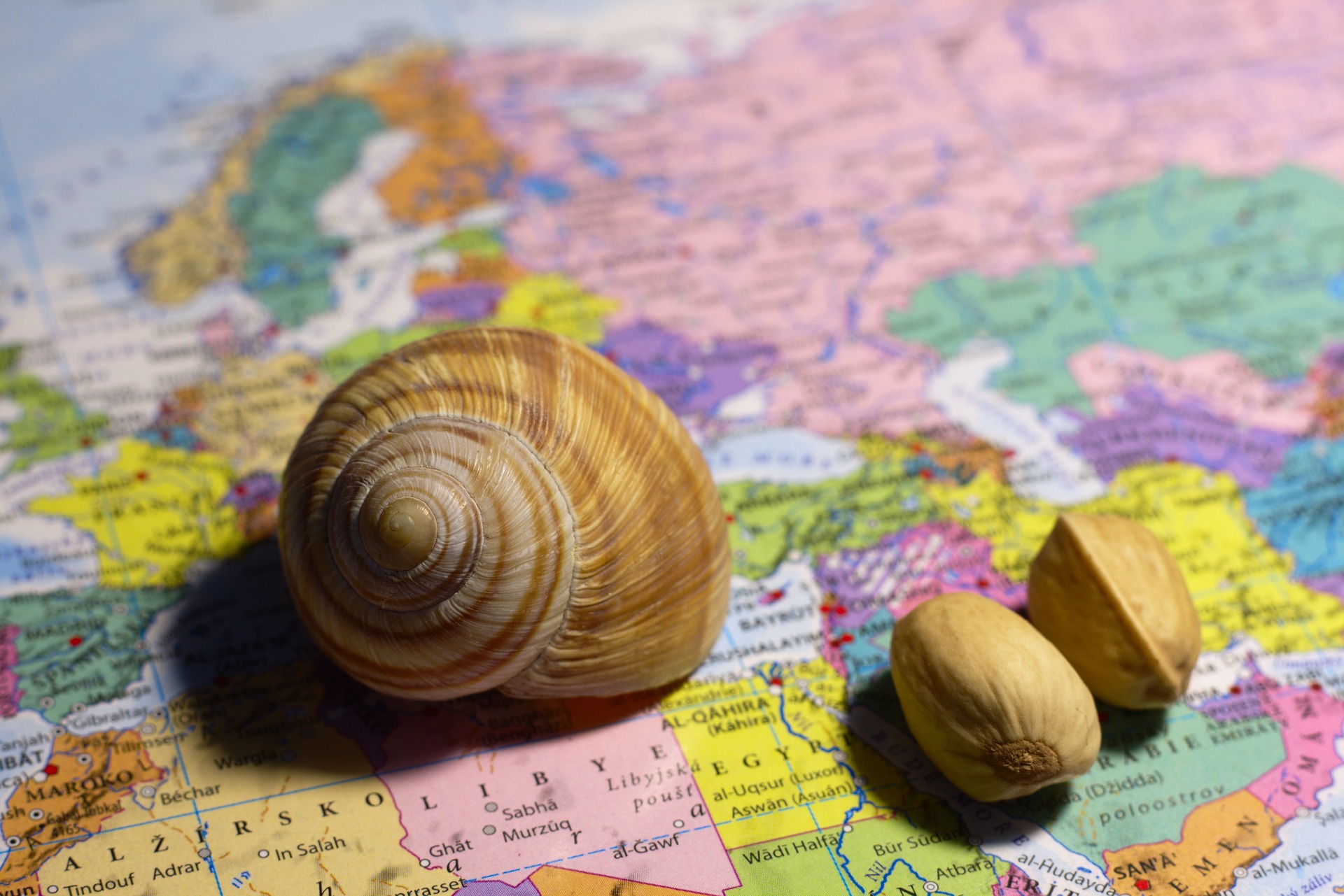 A short but slimy history of eating snails in France - Historical France